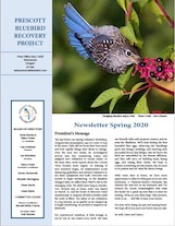 Newsletters/Resources | Prescott Bluebird Recovery Project